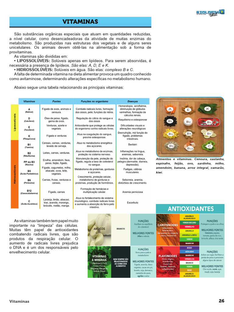 05 Vitaminas | PDF | Vitamina | Vitamina D