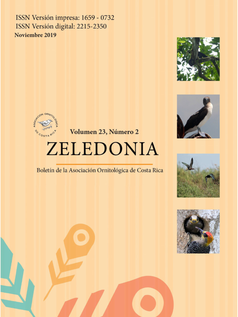 Zeledonia 23-2-2019 Final | Descargar gratis PDF | Sonido | ruido