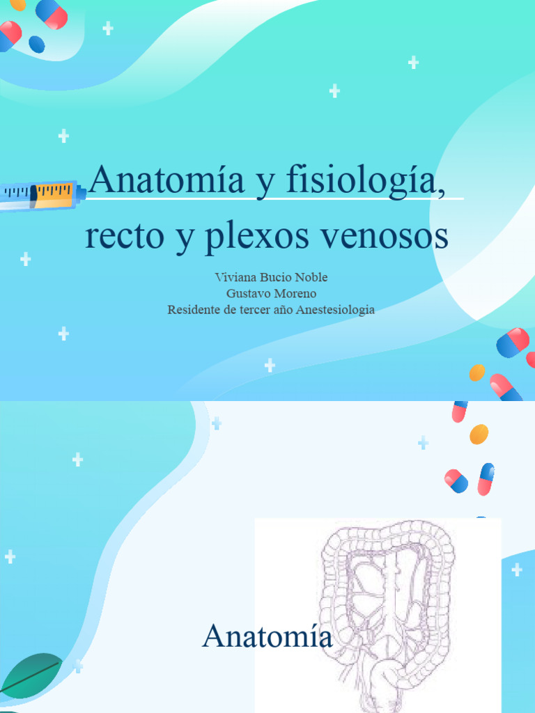 Anatomía y Fisiología del Recto | PDF | Hemorroides | Recto