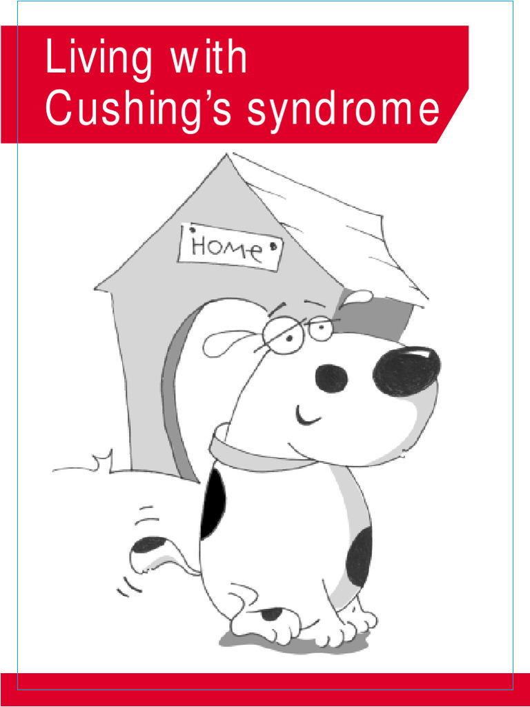 Living With Cushings Syndrome | PDF | Adrenal Gland | Cortisol
