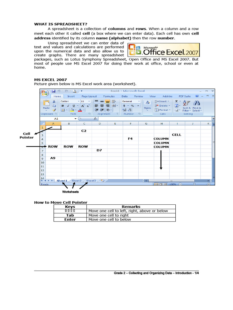 Computer Module p2 Collecting Introduction | PDF | Spreadsheet | Microsoft Excel