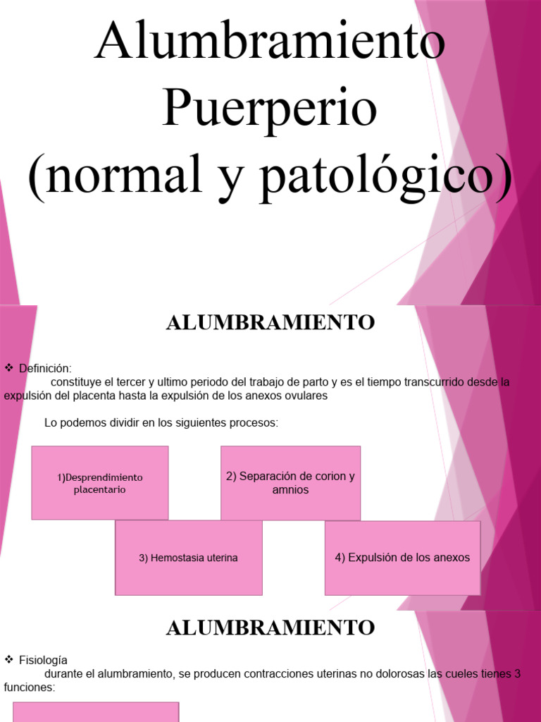 G&O - Alumbramiento y Puerperio (Normal y Patológico) | PDF | Periodo ...