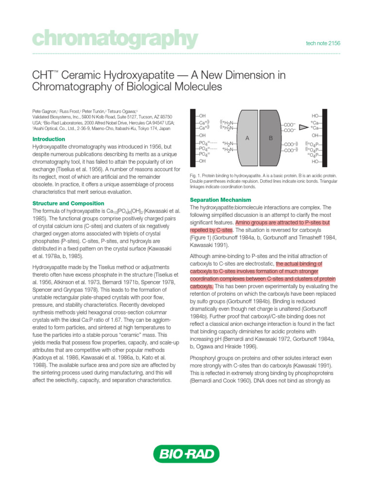 CHT Ceramic Hydroxyapatite A New Dimensi | PDF | Chromatography ...