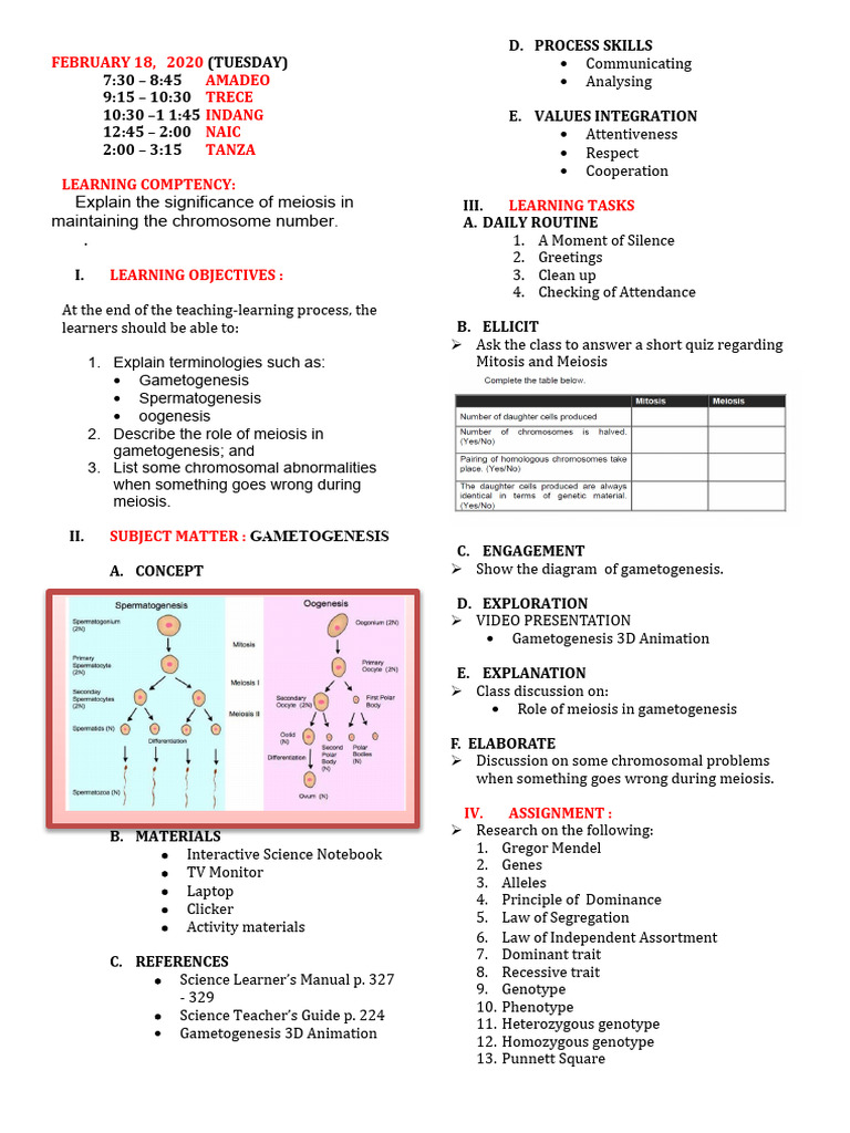 Science 8 - UNIT IV - Module 5 - Gametogenesis | PDF | Dominance (Genetics) | Genotype