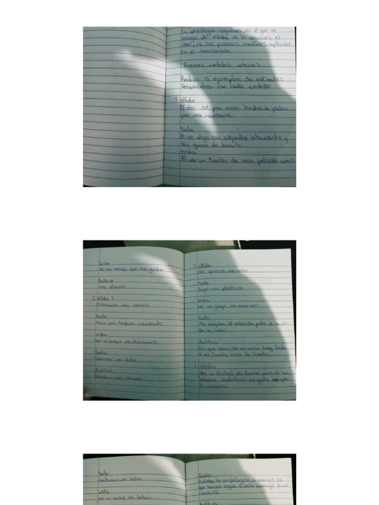 Procesos Cognitivos Pdf