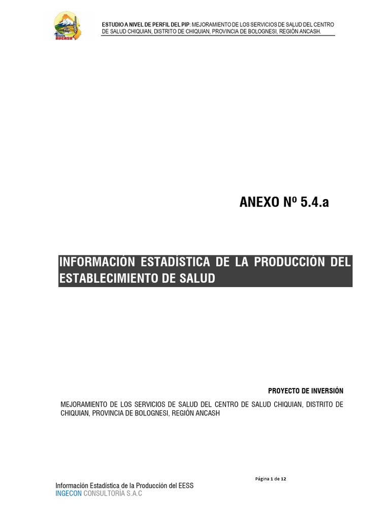 Anexo 5.4.a Informacion Estadistica de Produccion EESS | PDF | El embarazo | Medicina CLINICA