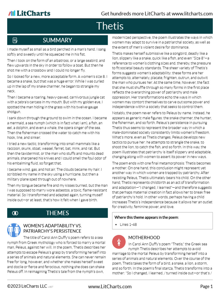 LitCharts Thetis | Download Free PDF | Achilles | Hero