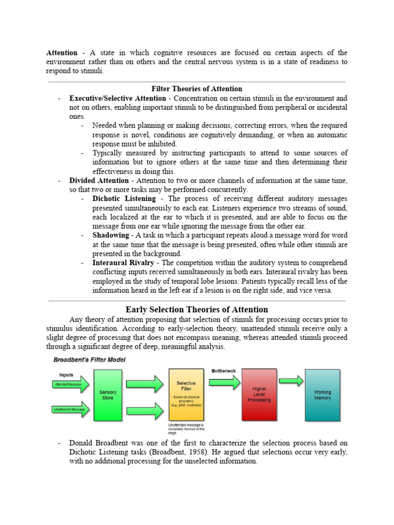 Attention and Memory | PDF | Memory | Retina