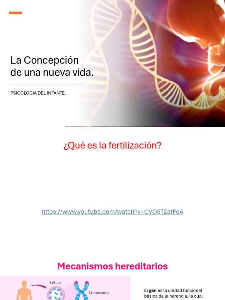 2.1 La Concepción | PDF | El embarazo | Dominancia (Genética)