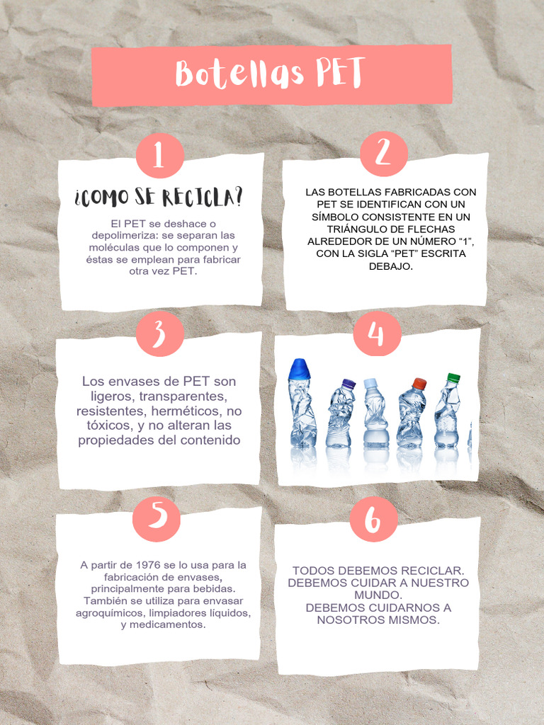 Cartel Poster Método Científico Pasos Infografia Escolar Collage | PDF