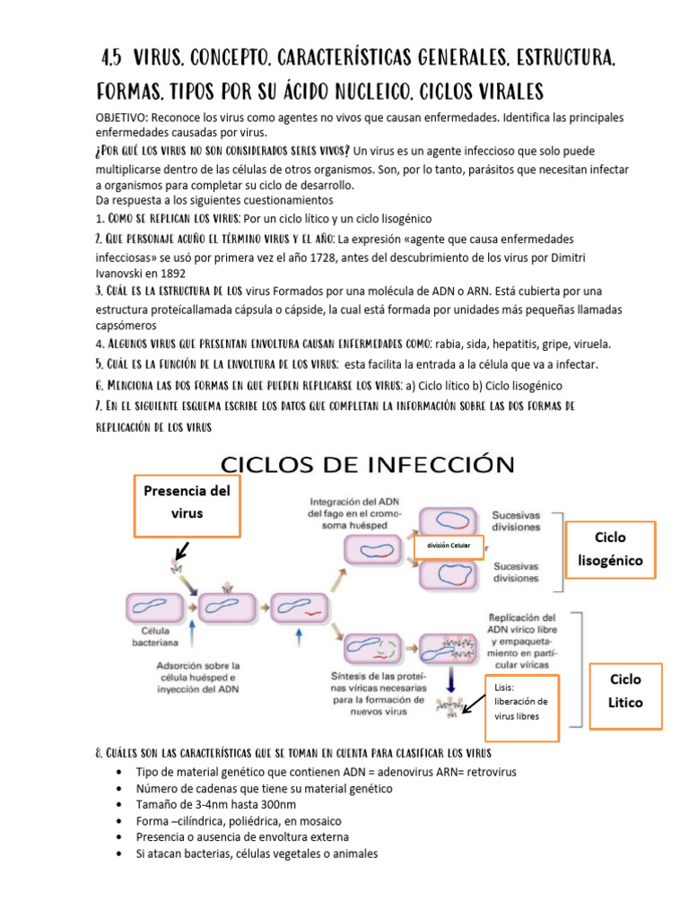 8.VIRUS EJERCICIO Alumno | PDF | Virus | Árbol de la vida (biología)
