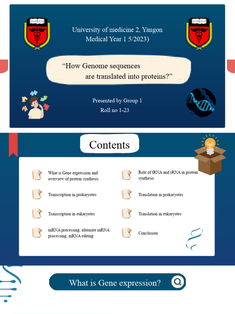 Gene Expression - Group 1 (Roll No 1 - 23) | PDF | Ribosome ...
