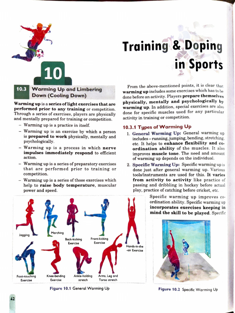 Warming Up and Cooling Down Guide | PDF | Flexibility (Anatomy ...