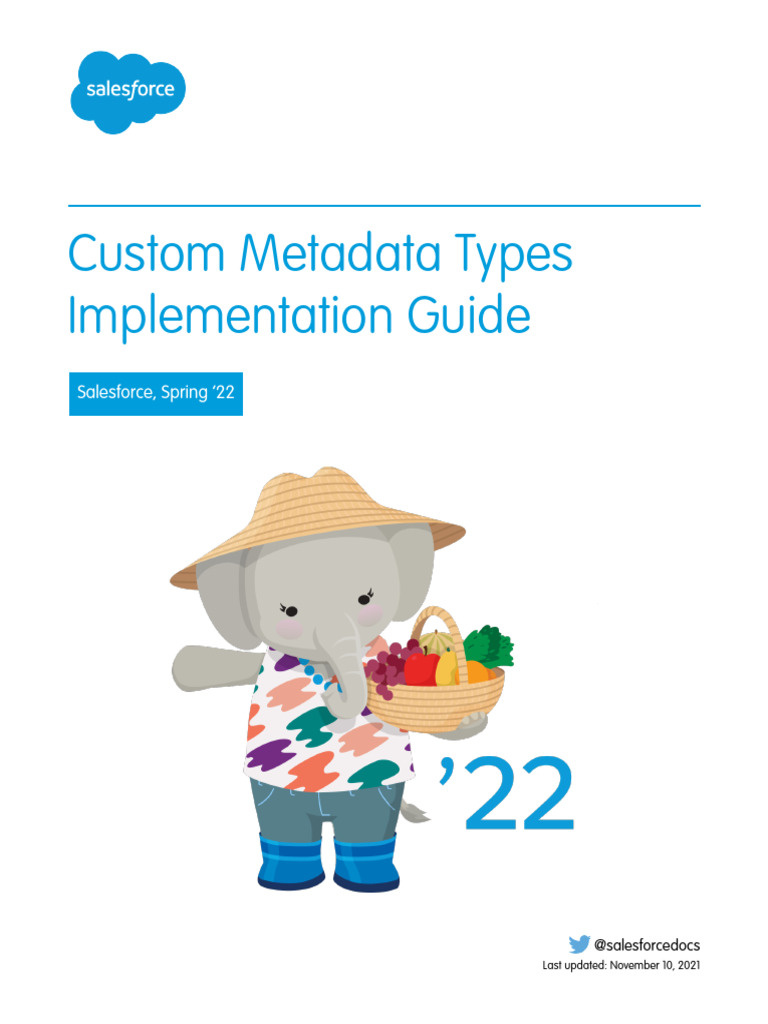 Custom Metadata Types Impl Guide | PDF | Metadata | Software Development Custom Metadata Types Impl Guide | PDF | Metadata | Software Development