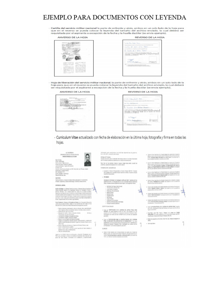 Ejemplo de Documentos Con Leyenda | PDF
