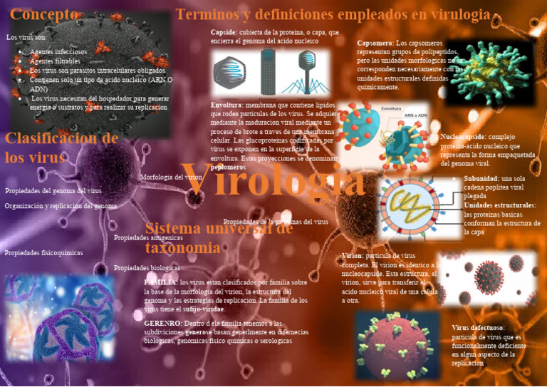 Introducción a la Virología y Virus | PDF | Virus | Ciencias de la Salud