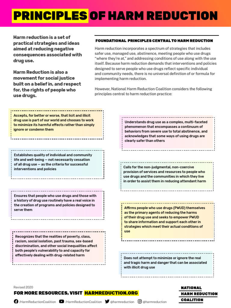 Principles of Harm Reduction Explained | PDF | Substance Abuse | Risk