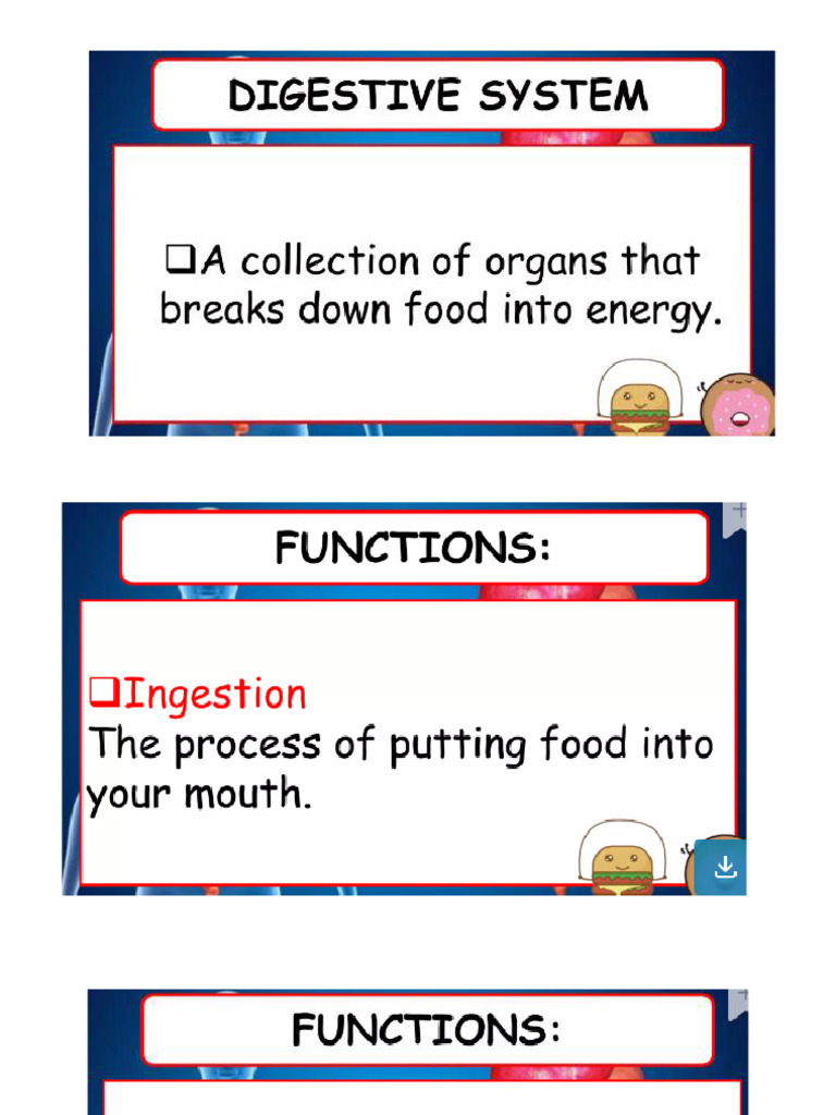 DIGESTIVE SYSTEM | PDF
