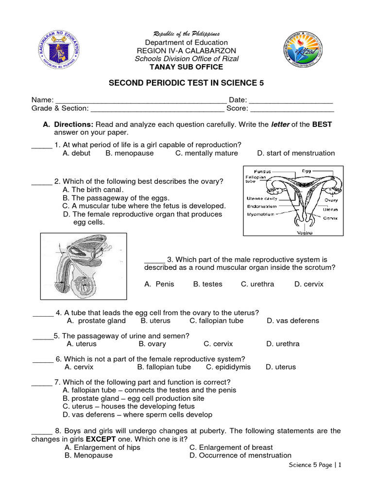 Second Quarterly Test in Science 5 | PDF | Flowers | Pollination