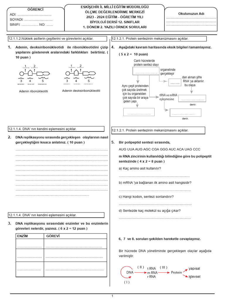 Den R.: DNA T Rna M Rna R Rna Protein Yapısal Şlevsel (I) (II) (Iii) | PDF