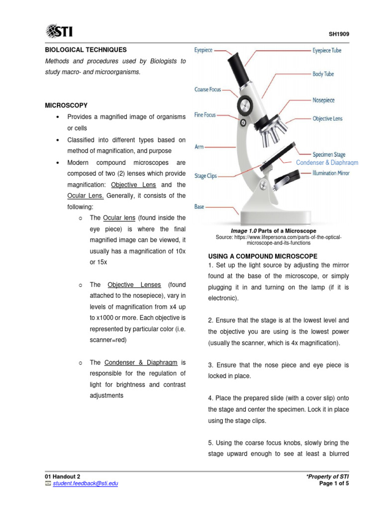 Microscope | PDF | Staining | Microscope