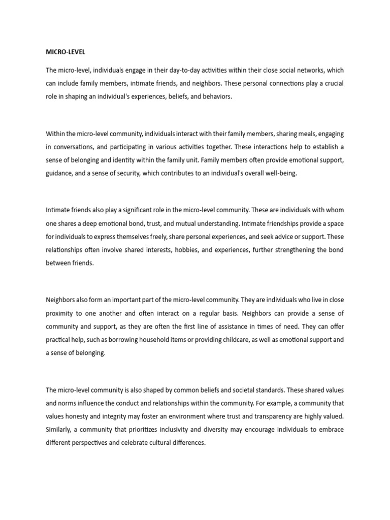 MICRO LEVEL | PDF | Community | Self Concept
