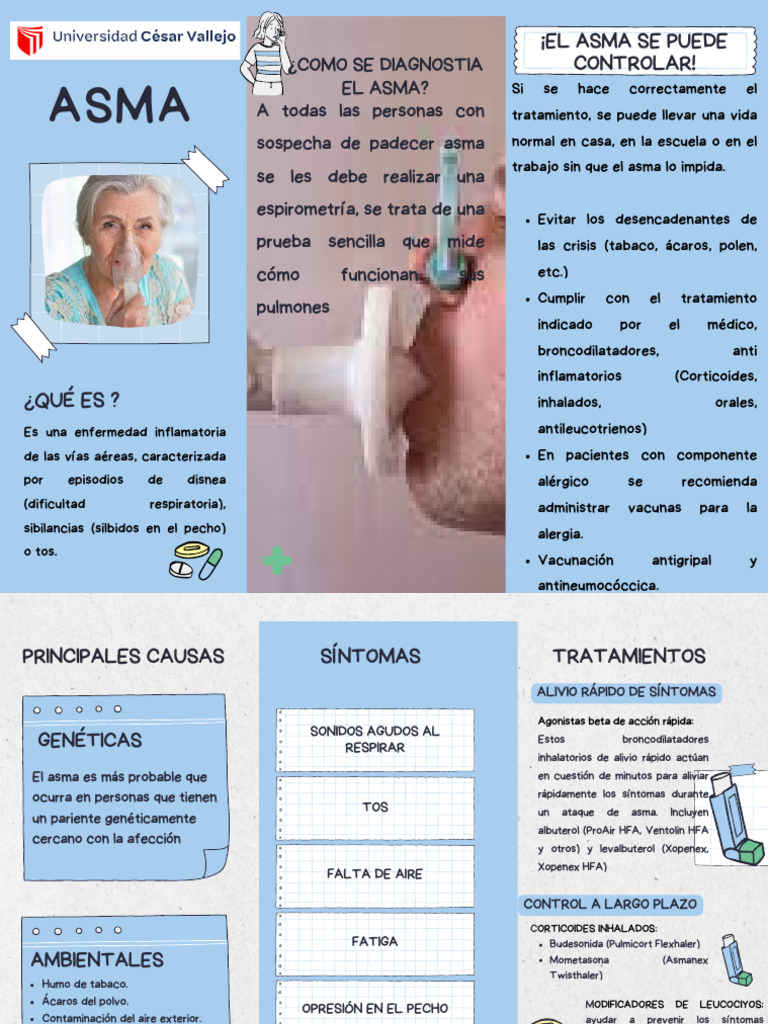 Folleto Informativo Asma Ilustrado Azul | PDF | Asma | Enfermedades y ...