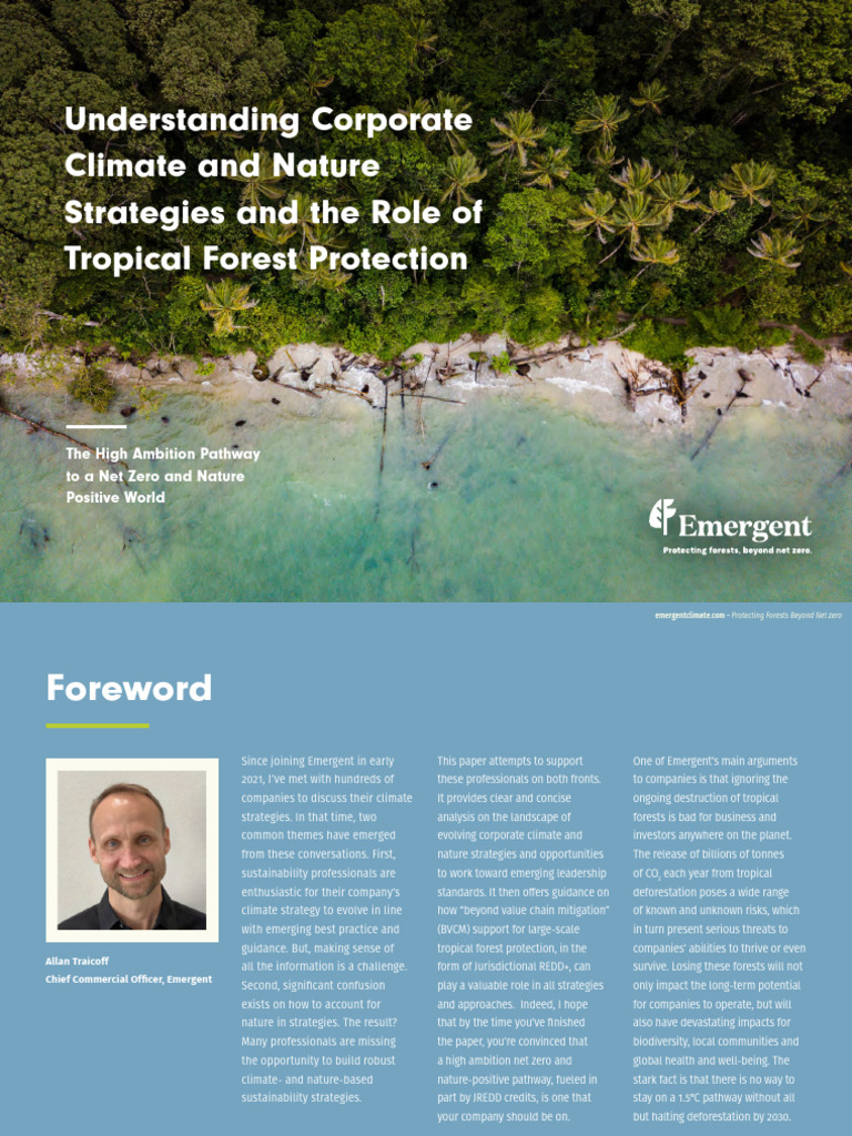 Understanding Corporate Climate and Nature Strategies and The Role of ...