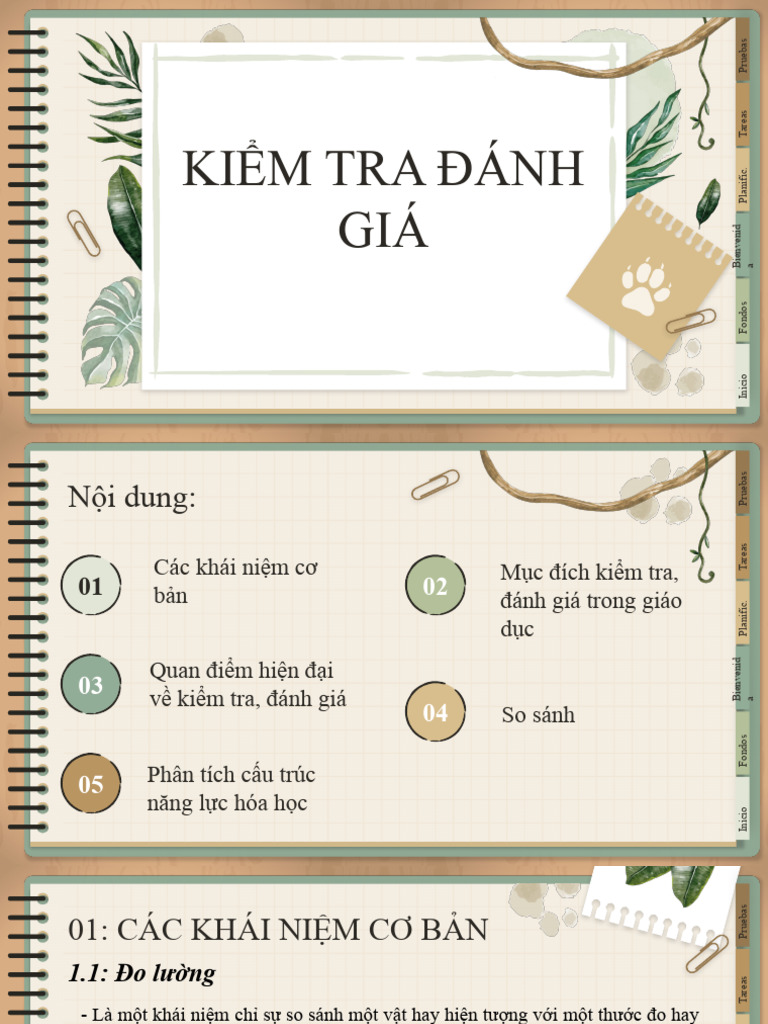 BT t1 Ktra Đánh Giá | PDF