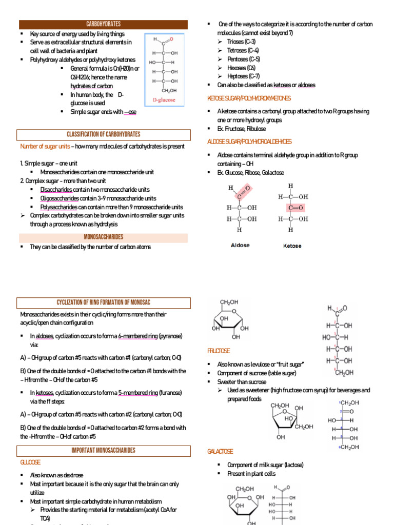 LAB_NOTES | PDF | Carbohydrates | Amino Acid
