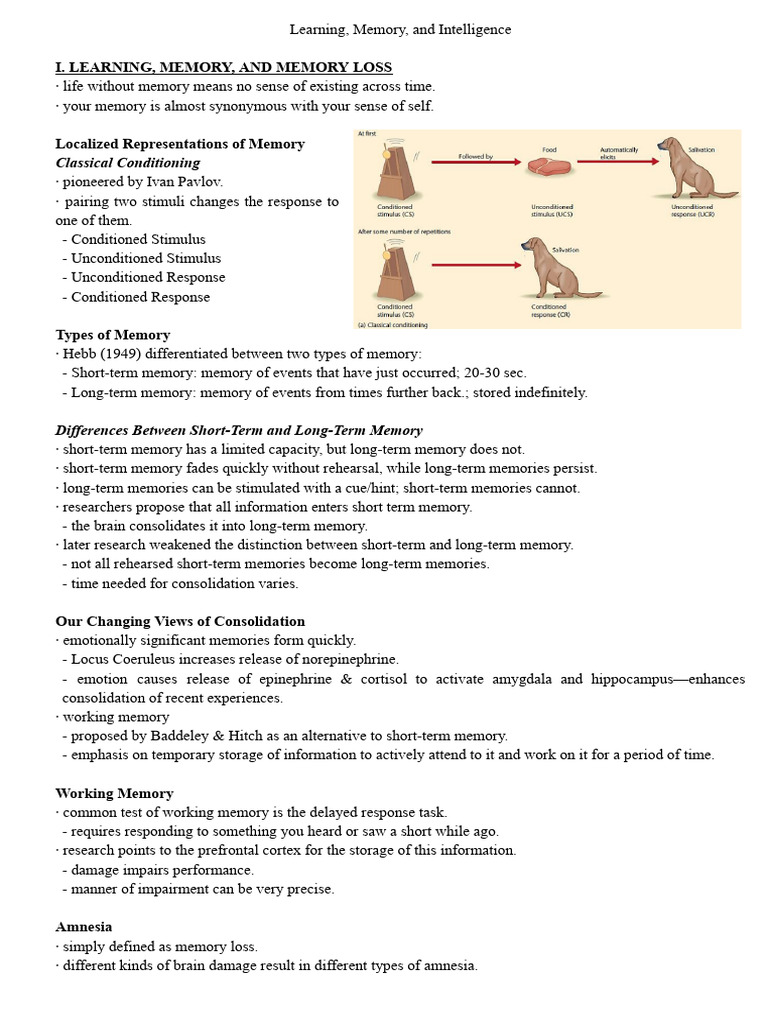 Bio Psych Chapter 8 - Learning, Memory, and Intelligence | PDF | Memory | Amnesia