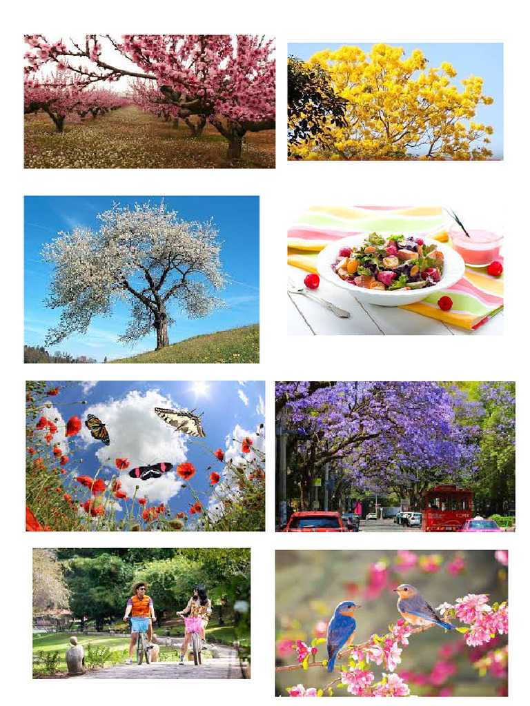 La Primavera | PDF