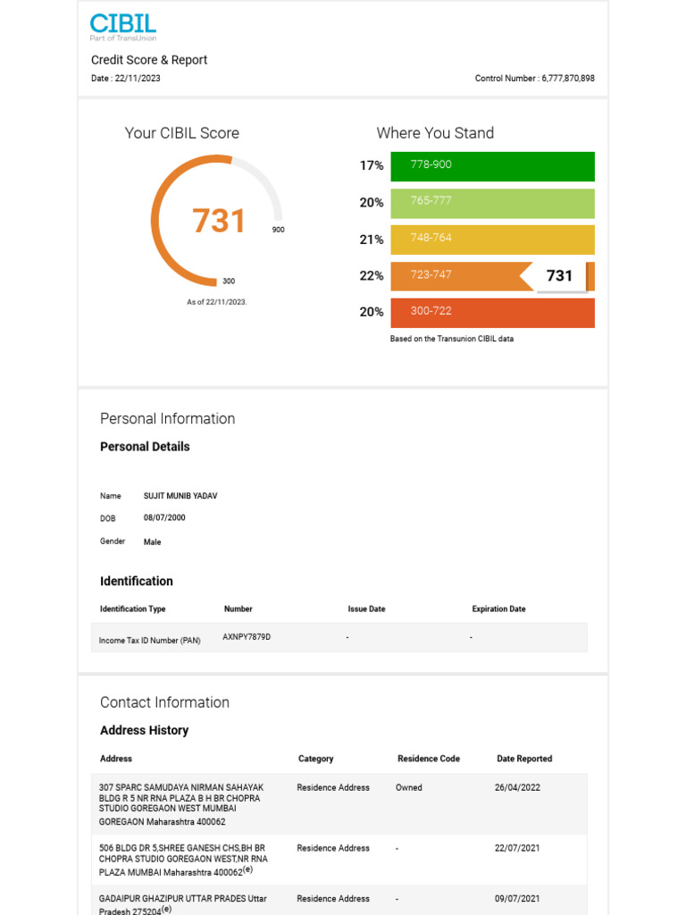 Sujit Yadav CIBIL Report | PDF | Loans | Line Of Credit