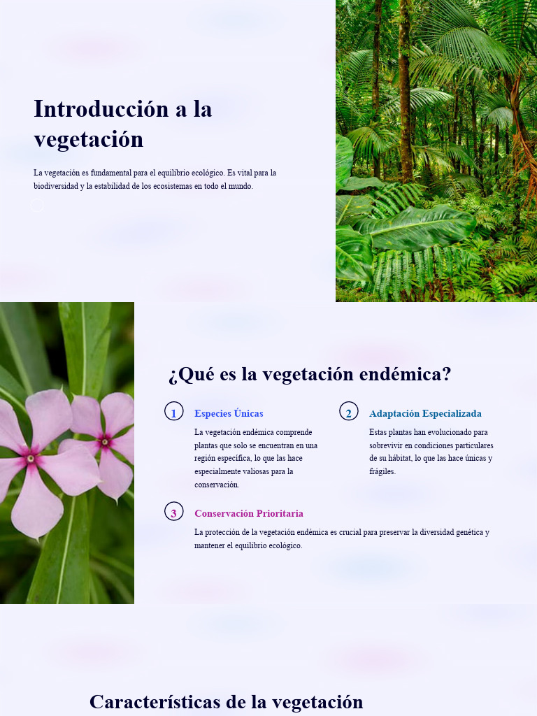 Vegetacion | PDF | Biodiversidad | Los bosques