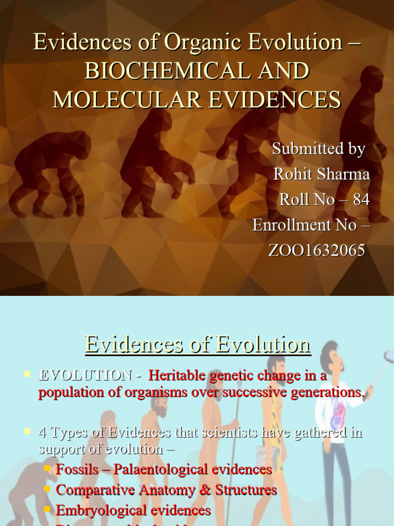Evidence of Evolution | PDF | Genetics | Evolution