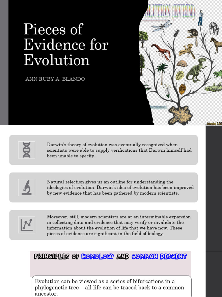 Pieces of Evidence For Evolution | PDF | Evolution | Homology (Biology)