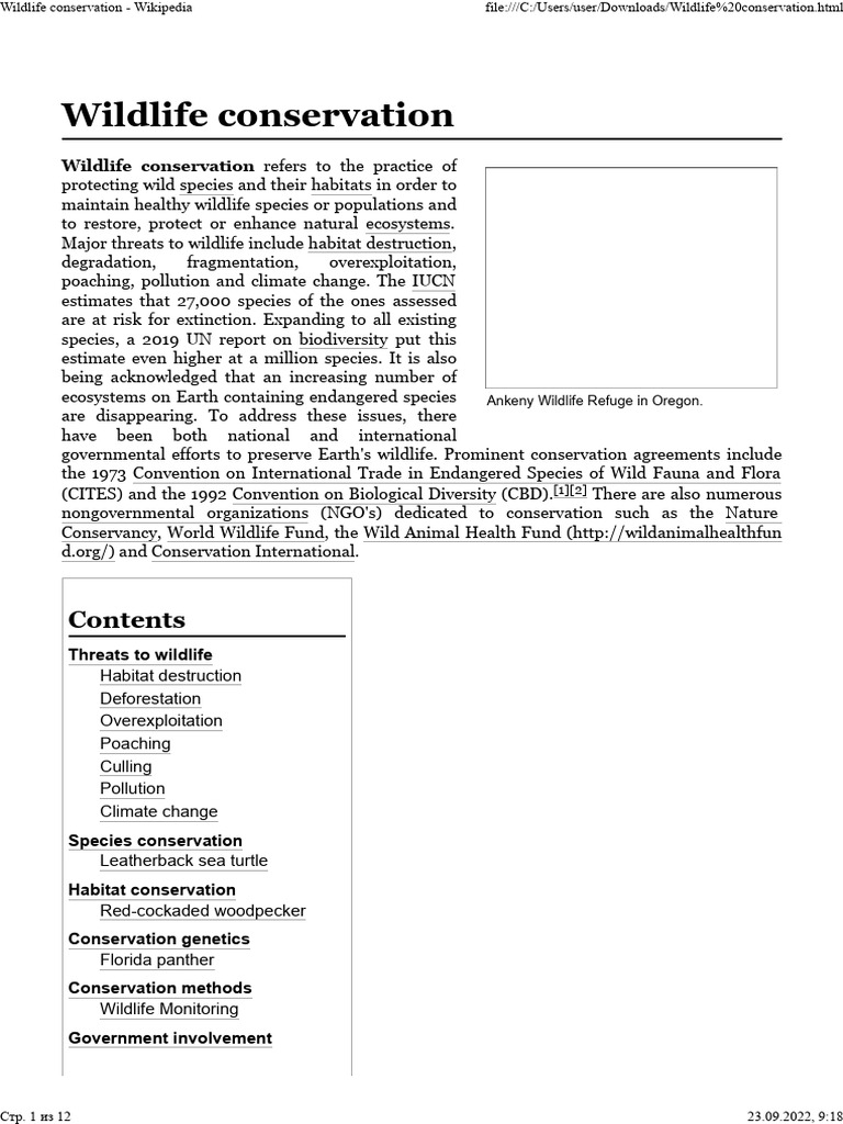 Wildlife Conservation | PDF | Deforestation | Habitat Destruction