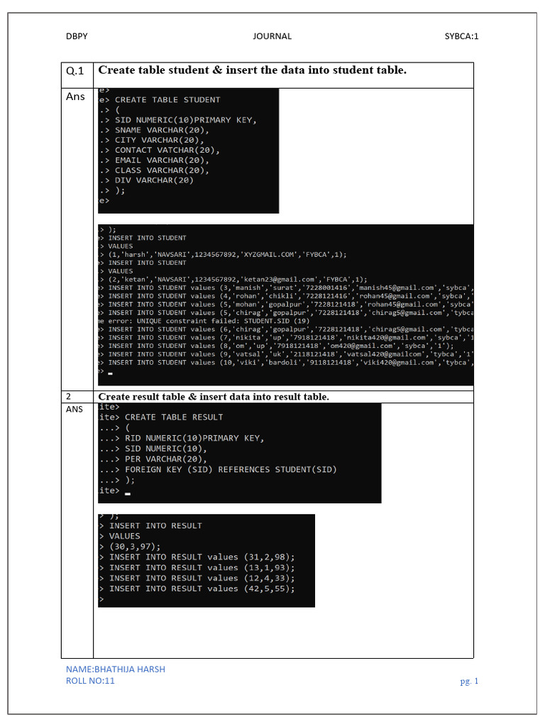 Pyh 1 | PDF | Databases | Computing
