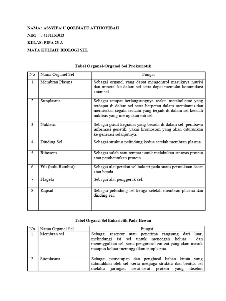 Perbedaan Organel Sel Prokariotik Dan Sel Eukariotik Assyifa' U ...