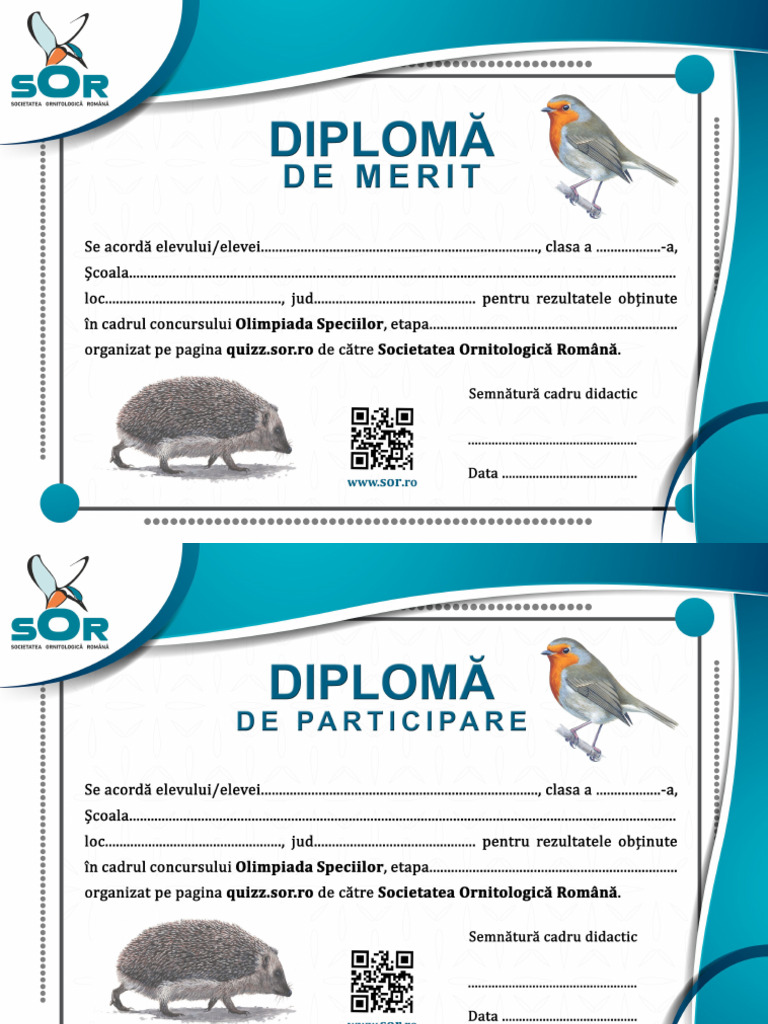 Model Diplome SPN Quiz | PDF
