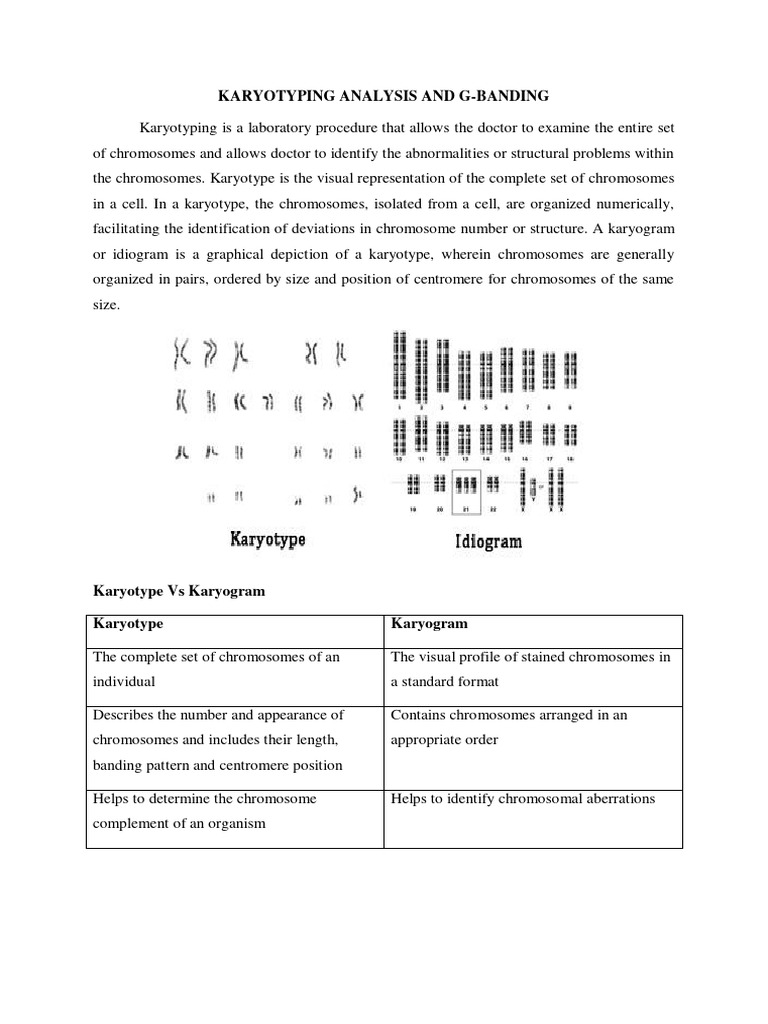 G-Banding Karyotyping Analysis Guide | PDF | Karyotype | Chromosome