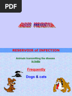 ERIG Infiltration | PDF | Injection (Medicine) | Rabies