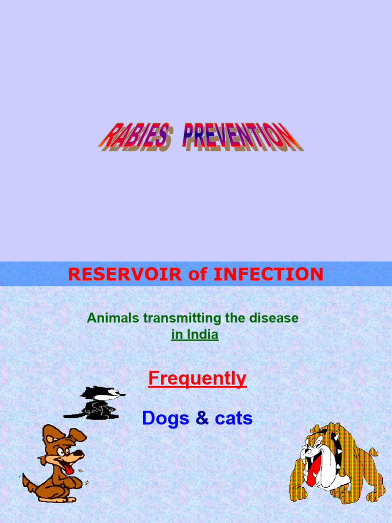 Rabies Prevention Pdf Rabies Clinical Medicine