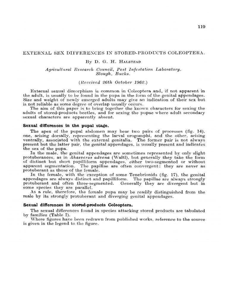 1963 Halstead | PDF | Sex Organ | Beetle