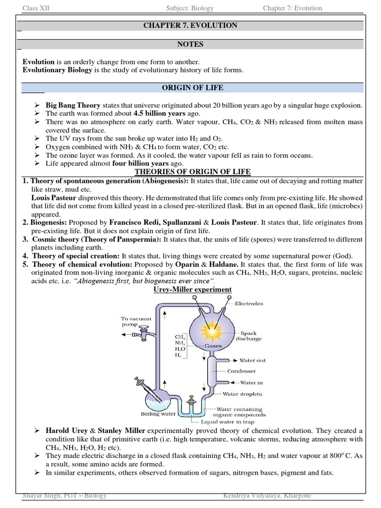 Bio - Evolution | PDF | Homo | Natural Selection