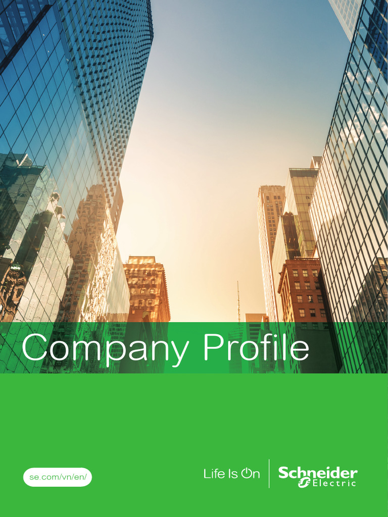 Company Profile - SCHNEIDER | PDF | Computers | Technology & Engineering