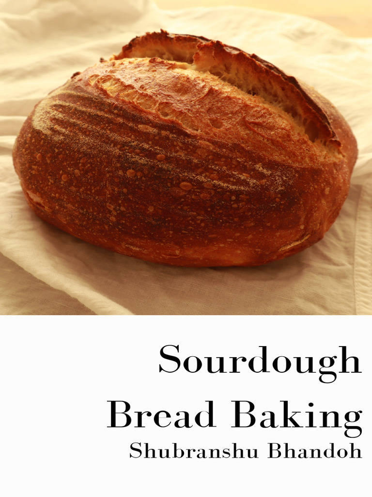 Sourdough Starter and Baking Guide | PDF | Breads | Sourdough
