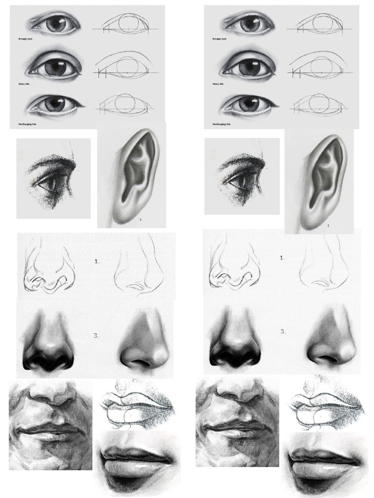 Arc Részei Rajz | PDF