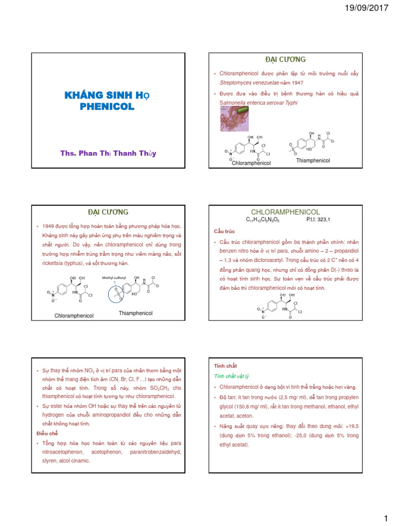 Khang Sinh Ho Phenicol | PDF