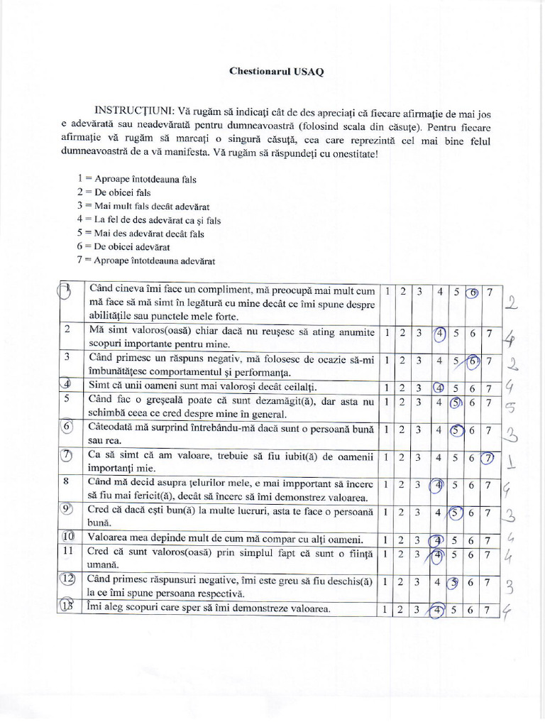 Chestionarul USAQ | PDF